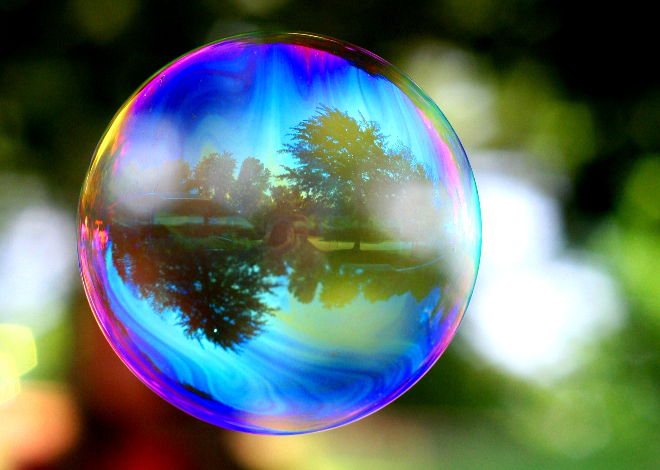 Living In A BubbleCreating Animal Awareness Living In A BubbleCreating Animal Awareness
